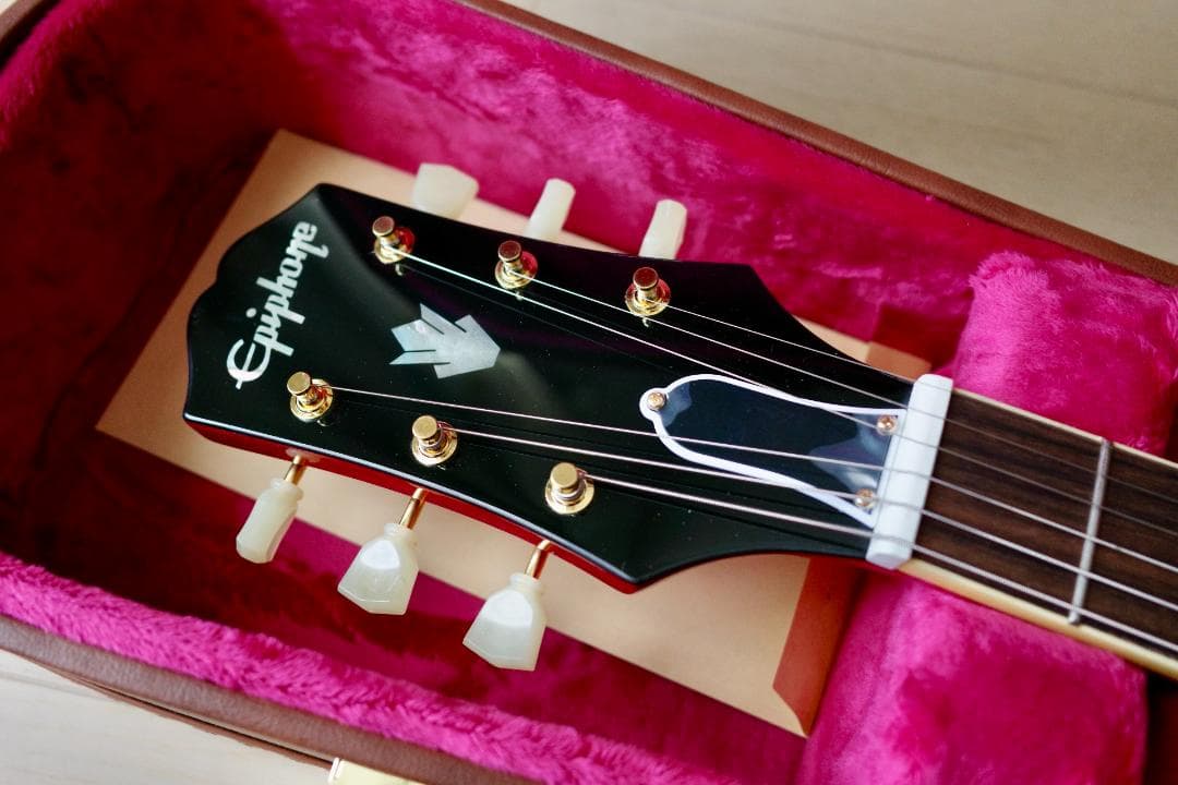 ギター EPIPHONE BACK TO THE FUTURE ES-345