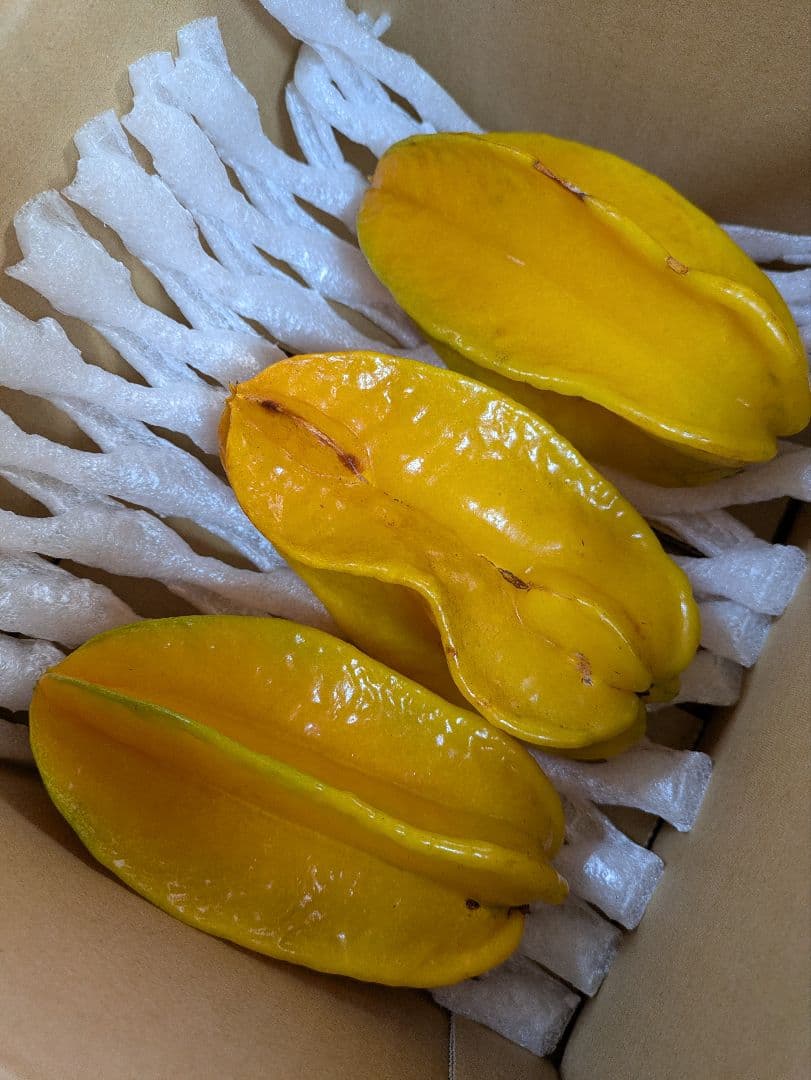 専用２キロ　スターフルーツ STAR FRUIT 熊本産 産地直送