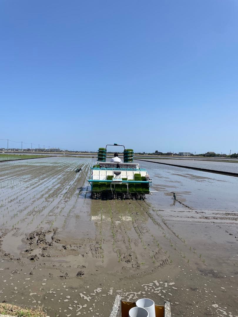 令和7年産 富山県産コシヒカリ　玄米