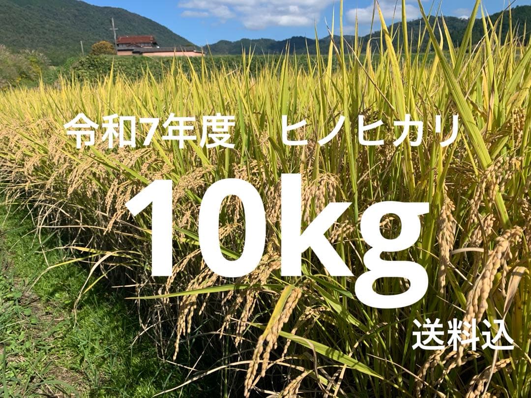 令和7年度　ヒノヒカリ10kg