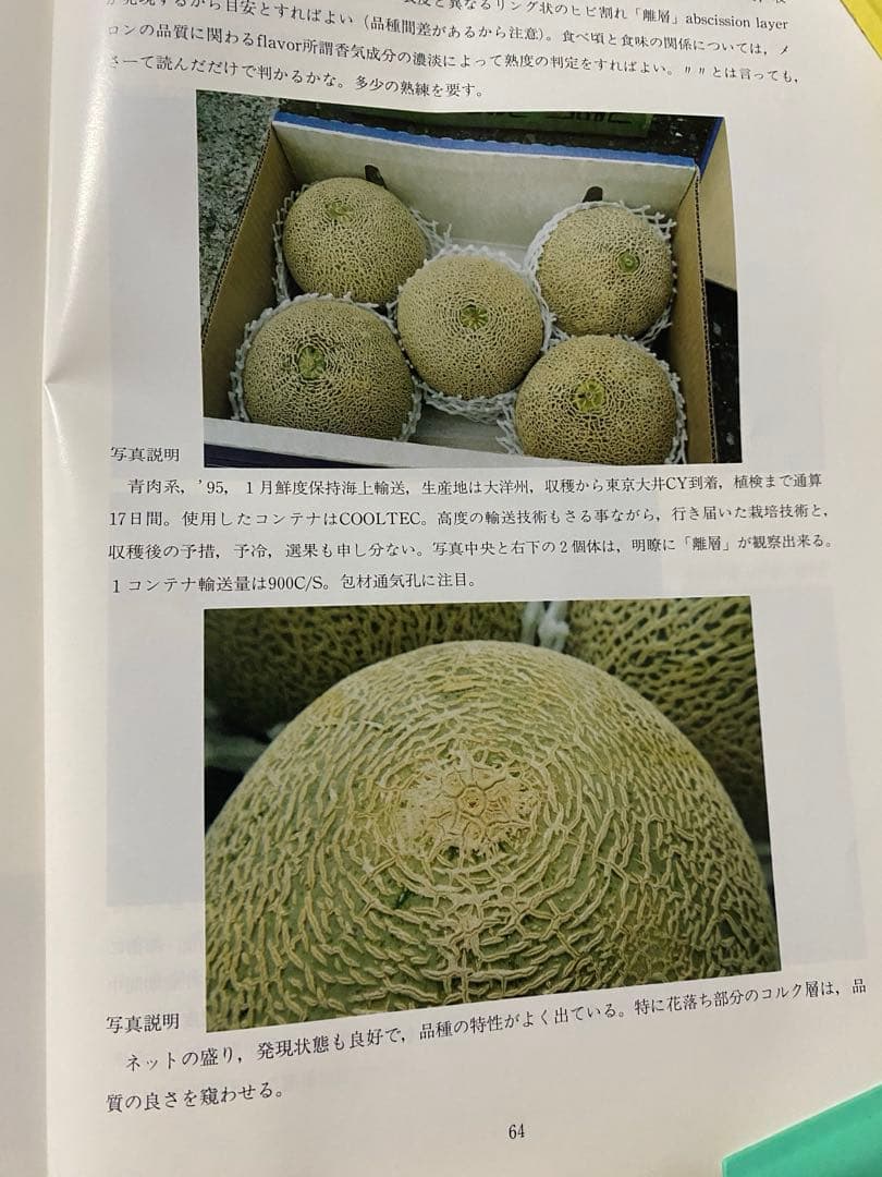 輸入野菜・果実の鮮度保持コンテナ一貫輸送の実績　平成9年1月発行 商船三井