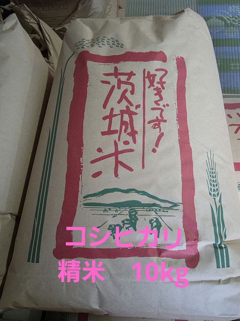 令和7年産　精米　10キロ　コシヒカリ
