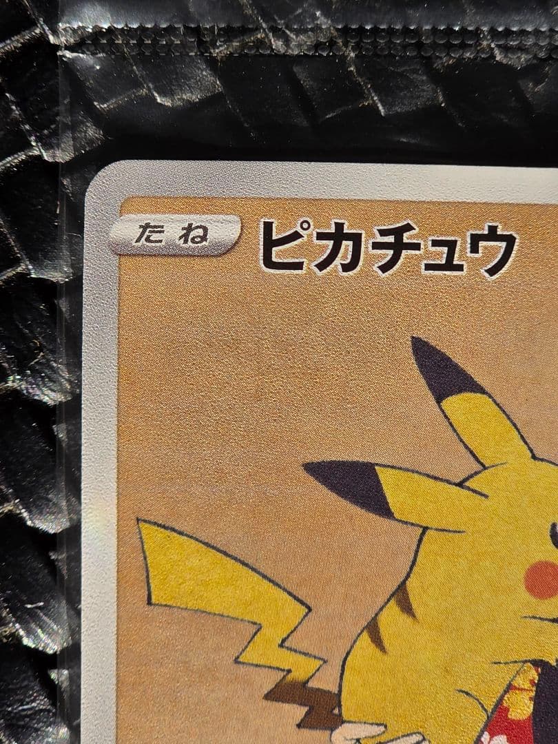 ポケモン切手 BOX～ポケモンカードゲーム 見返り美人・月に雁セット～