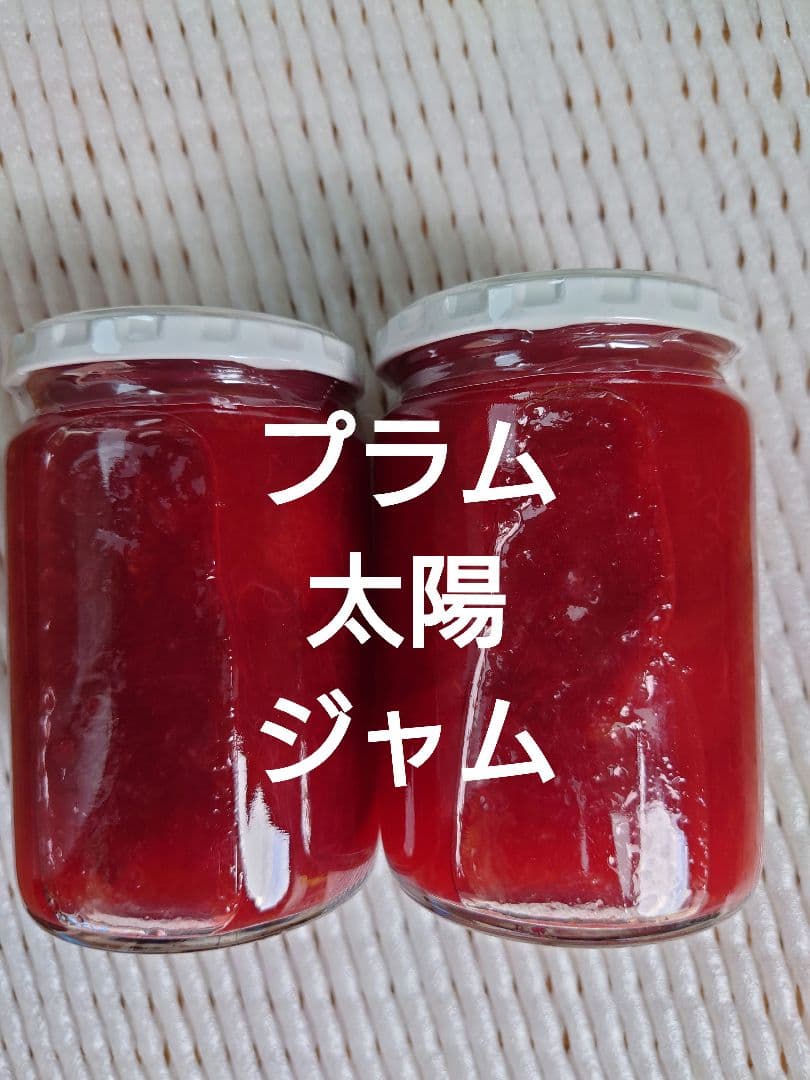 みなみ　紅玉　ジャム　4本、プラム　2本、ネクタリン　6本