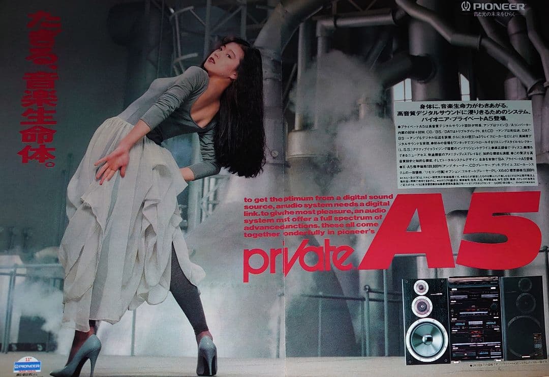 中森明菜　1982年〜1986年 大量　切り抜き　ファイル　2冊　120P