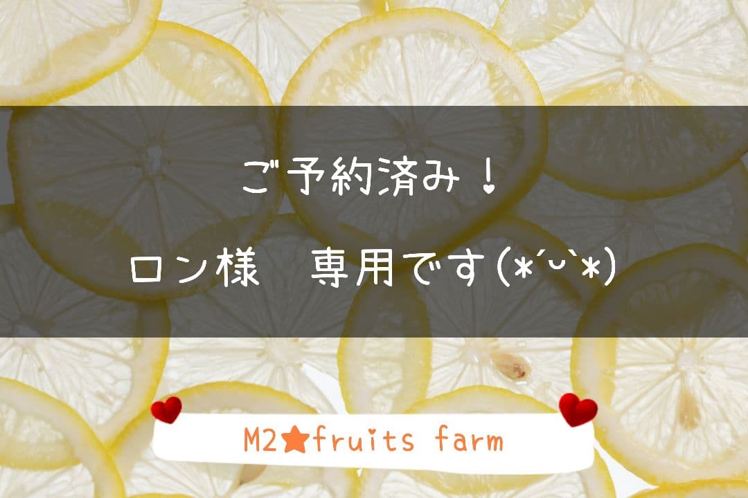 【ꕤ407】はるか『ご家庭用』熊本みかん（20kg）