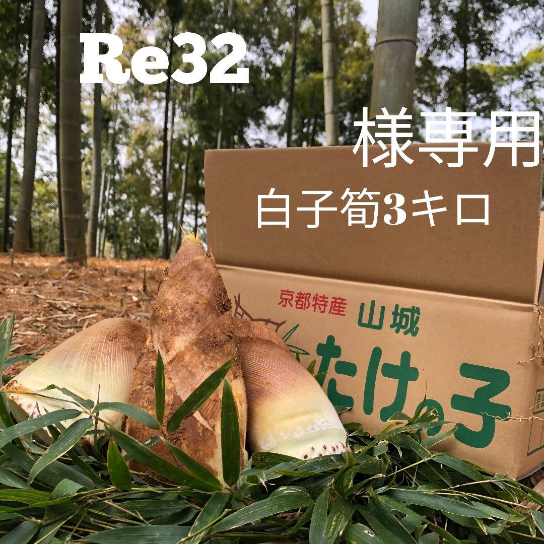 Re32 白子筍 3キロ