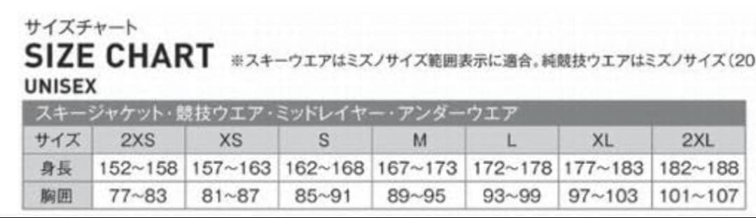 【お値下げ中！】Mizuno スキーウェア Mサイズ ブラウン/ブラック