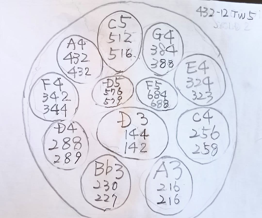 ハンドパン　56センチ　12音　A＝432Hz　Dマイナー　新品