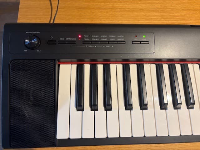 YAMAHA Piaggero NP-32B 21年製