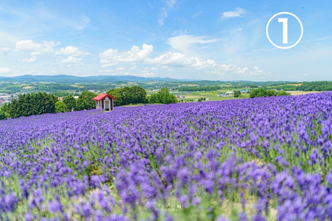 【オーダー用】北海道の風景写真