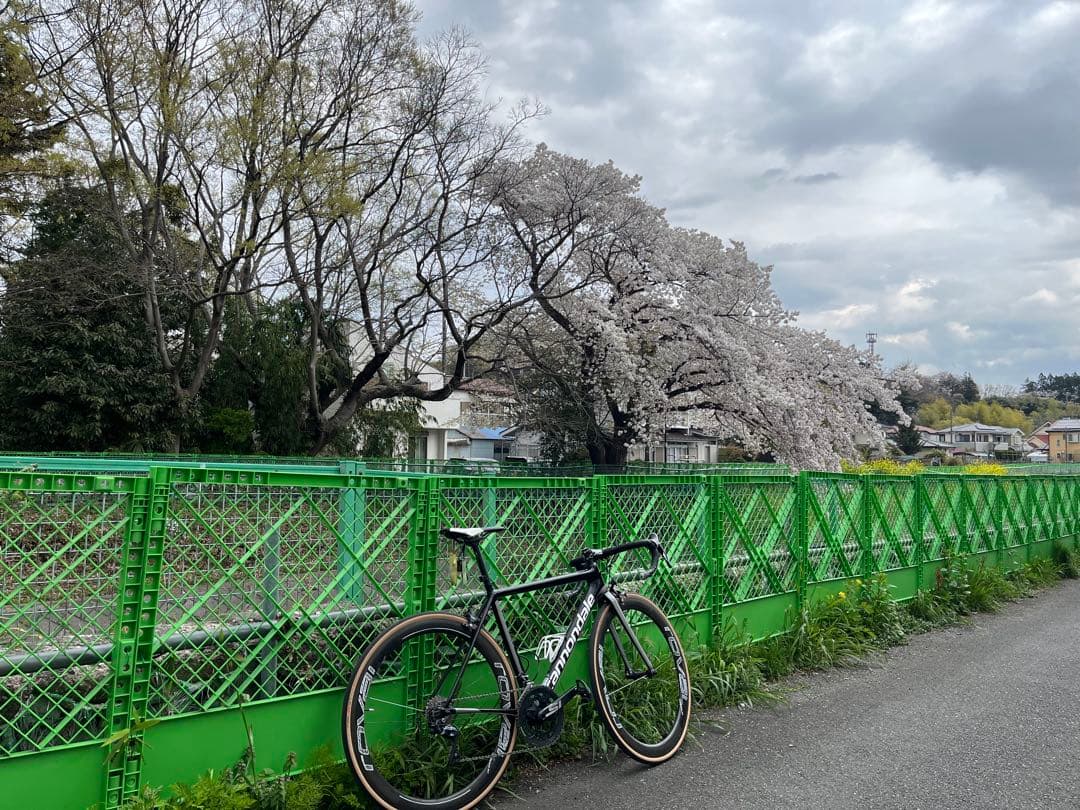 roval rapide CL50前輪+後輪 ※ホイールのみ