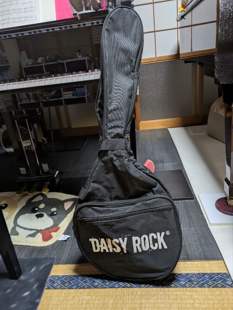 セミアコ　デイジーロック　Daisy Rock ピンク エレキギター