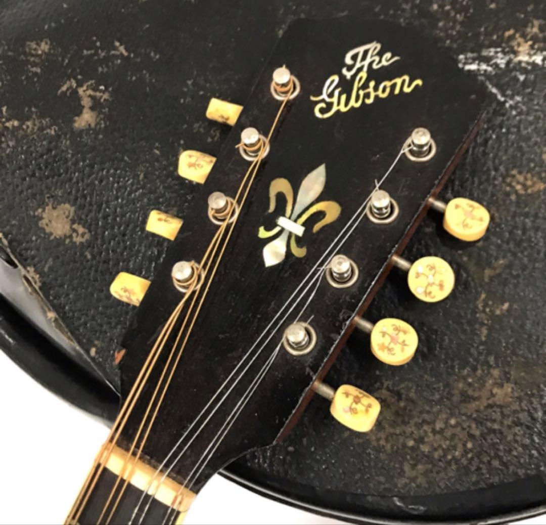 Gibson マンドリン 1916年　ハードケース付き