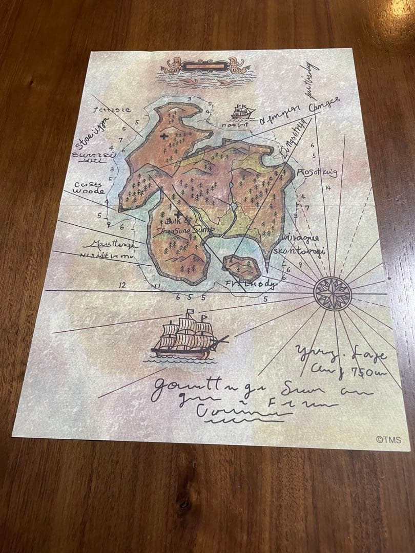 メガハウス ジョンシルバー 宝島