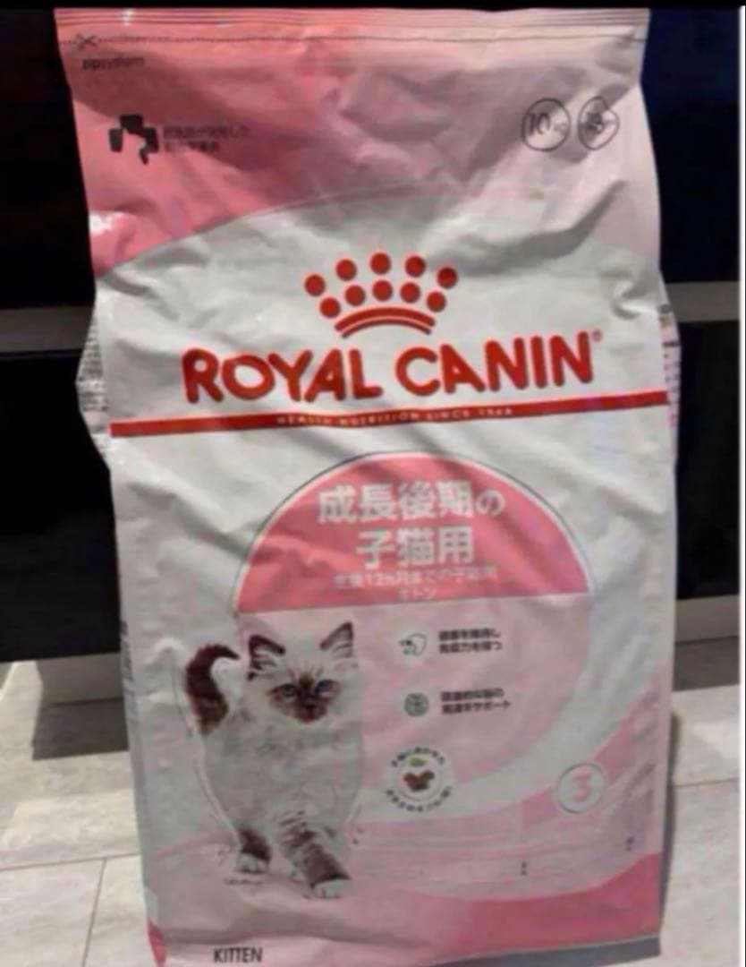  CANIN 子猫用ドライフード 10kg