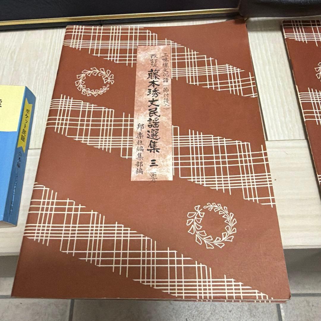 三味線本体 ケース・教本付き