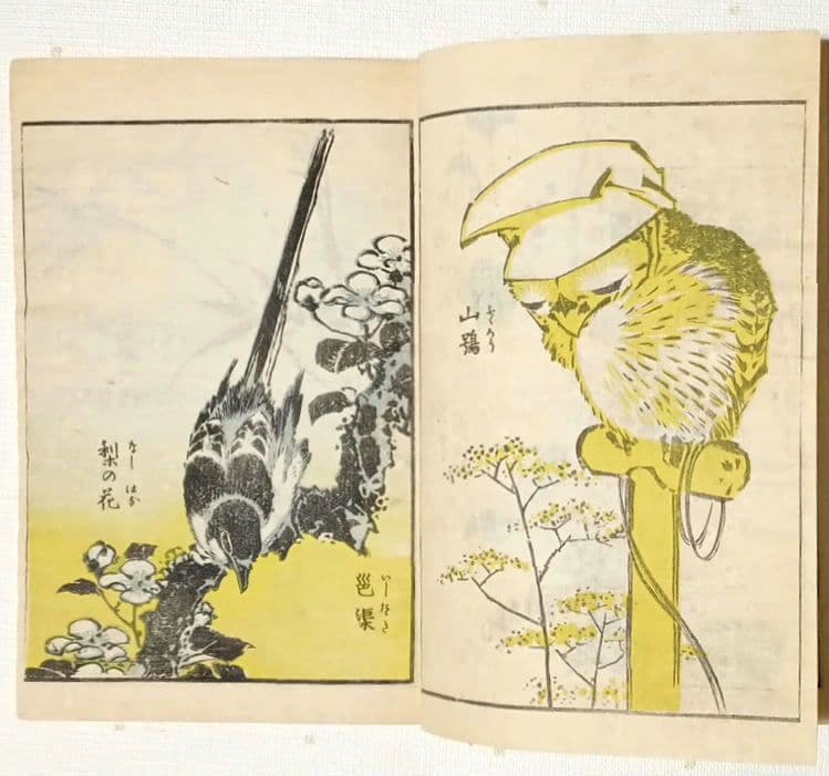 後摺多色刷り版画本傳神開手北斎画宛初編、葛飾北斎画、明治8年片野東四郎東壁堂出版