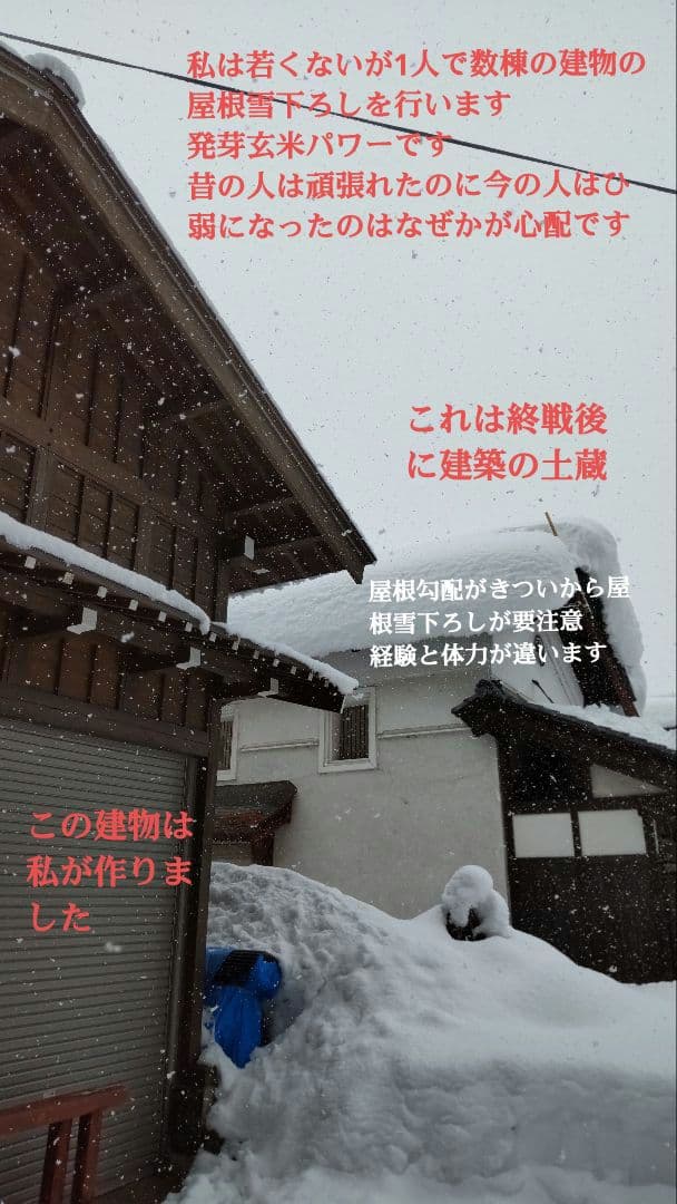なぜこんなに病気が多いのか？ 玄米10kg 7年産コシヒカリ 特栽①農薬等不使用