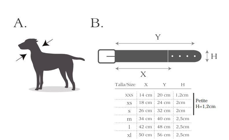 Baseball Green 高級犬用リードと首輪セット（小型犬　中型犬）