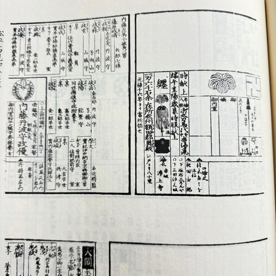 DA795人文社蔵版 文政天保 国郡全図並大名武鑑 江戸古地図 鳥瞰図 日本地図