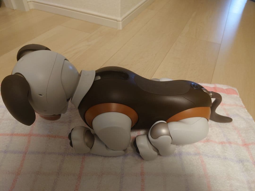 sony aibo ERS-1000 希少カラーのチョコエディション【値下げ】