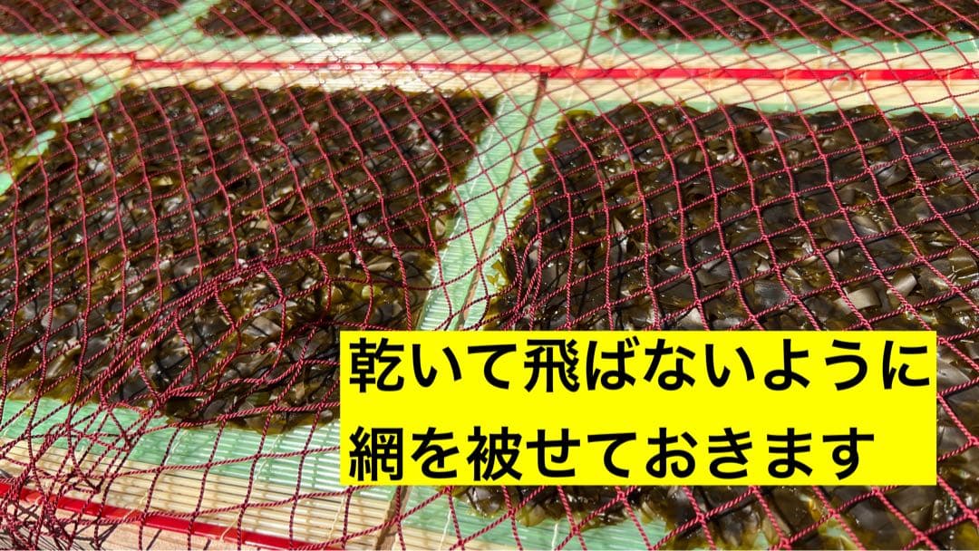 mi 様　【送料無料】新春はばのり5枚入り4セット