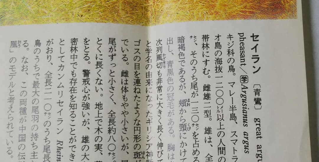 茶道具 羽箒 青鸞 セイラン せいらん 一双 炉用 風炉用 杉本鳳堂 新品未使用
