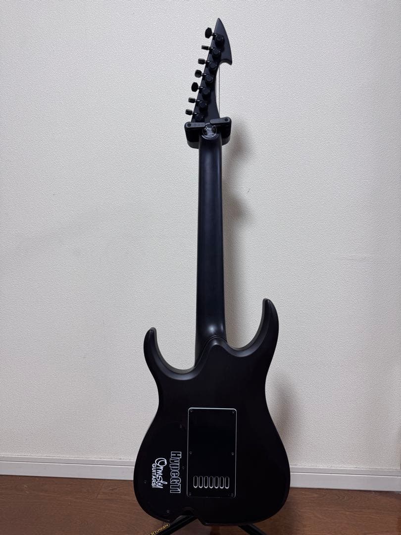 にざかな　Ormsby GUITARS HYPE GTI EVERTUNE