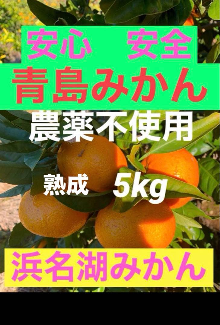 M80農薬不使用　浜名湖産　10kg 木なり熟成不知火、青島　安心　安全^^)