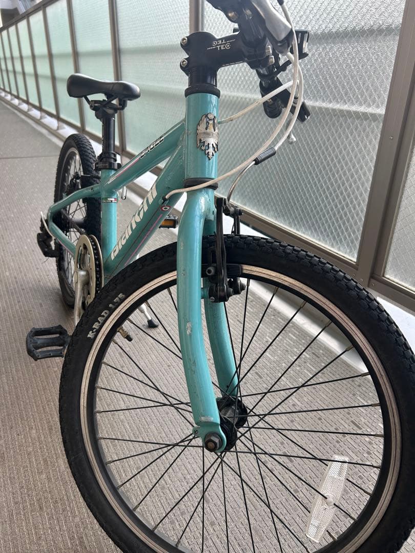 Bianchi Eagle 20インチ キッズ自転車 水色