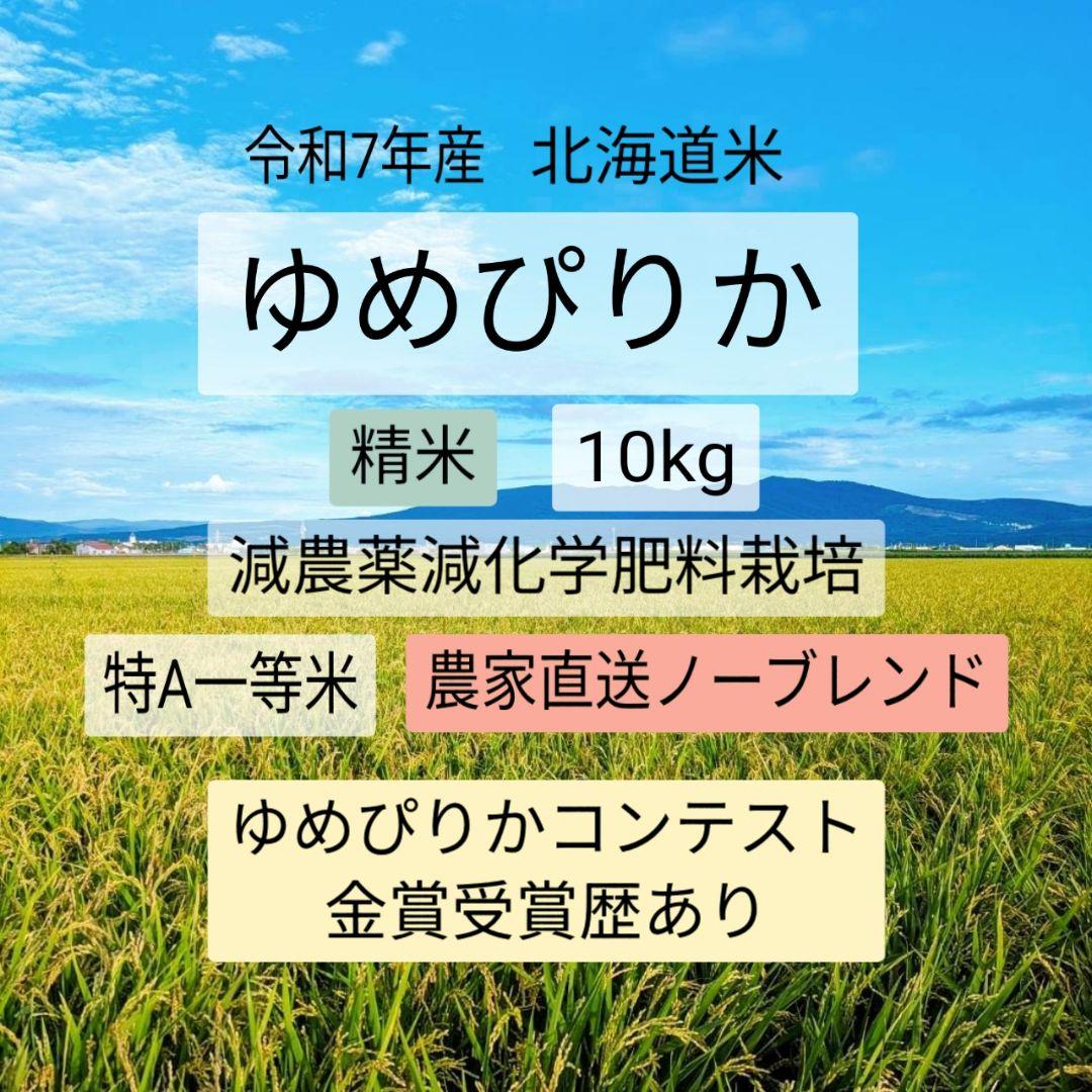 専用ページ　10kg×2
