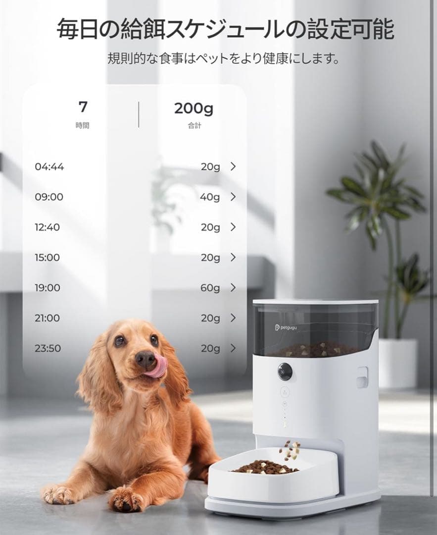 petguy 自動給餌器 ホワイト