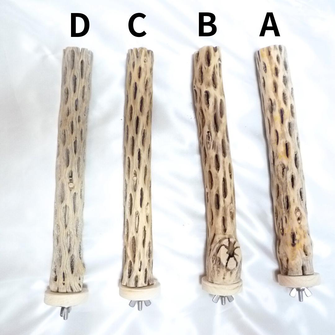 R　止まり木　カクタス　スケルトン　パーチおまとめ5本