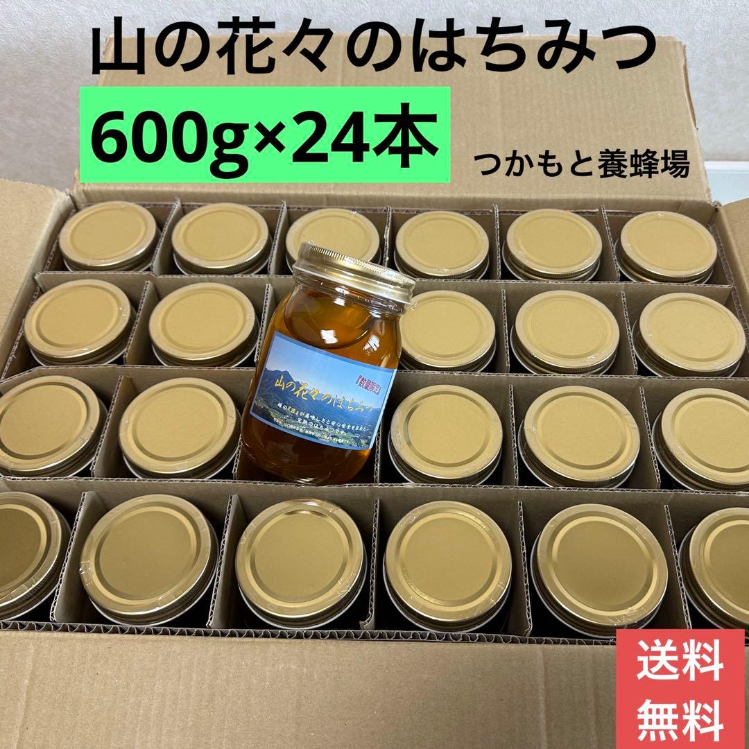 【国産非加熱】山の花々のはちみつ　600g×24本　つかもと養蜂場