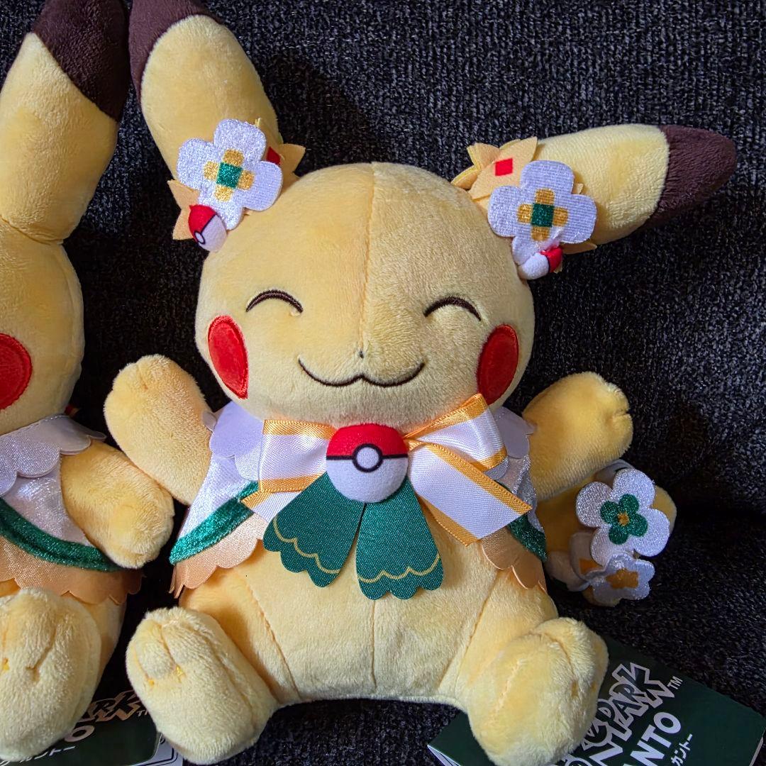 ポケパークカントー　ピカチュウぬいぐるみ　2種セット