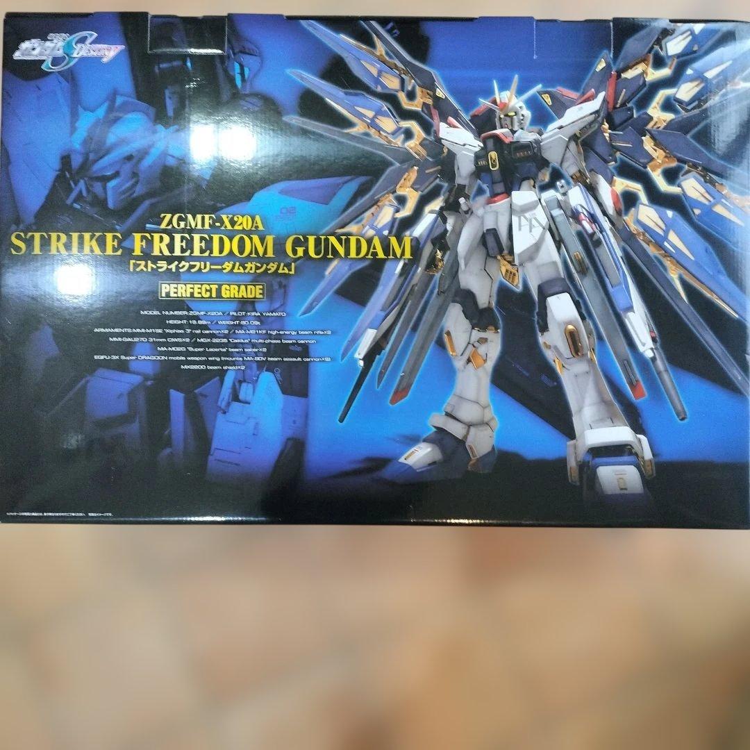 BANDAI SPIRITSPG機動戦士ガンダムストライク 色分け済みプラモデル