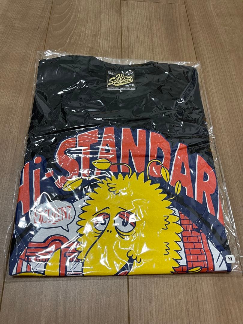 Hi-STANDARD GOOD JOB! RYAN TOUR Tシャツ 黒 M
