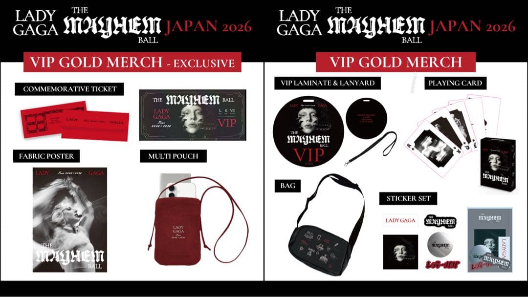 LADY GAGA VIP GOLD グッズ フルセット ゴールド　ガガ