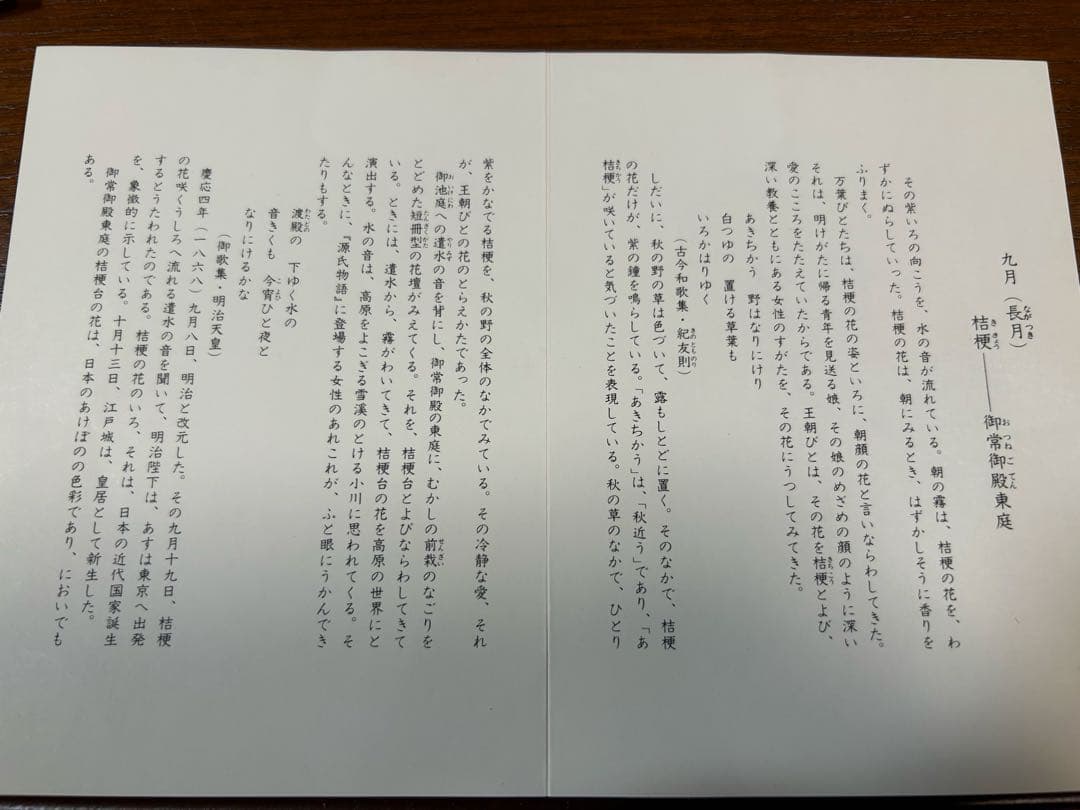133桑野むつ子 京都 御所の花十二ヶ月【9月桔梗】抹茶椀・和陶皿 しおり付き