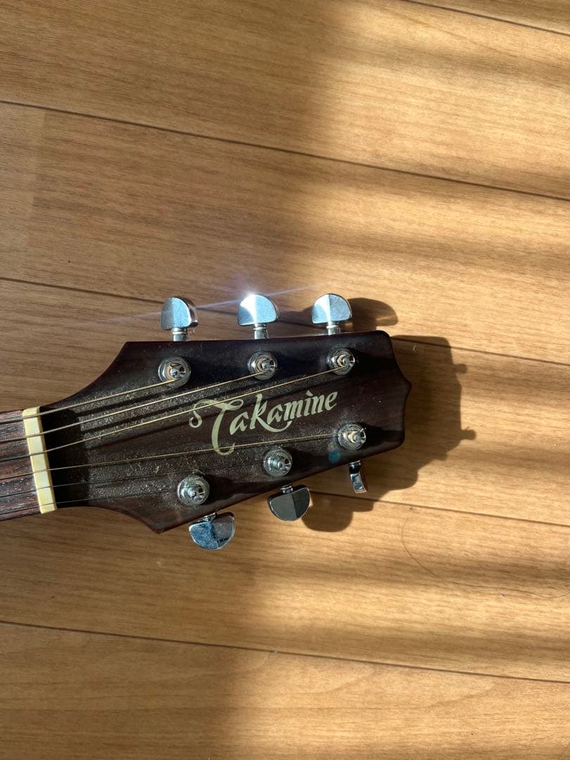 Acoustic ギター Takamine TSA500