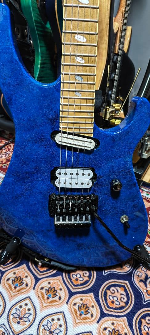 ギター Caparison Horus M3