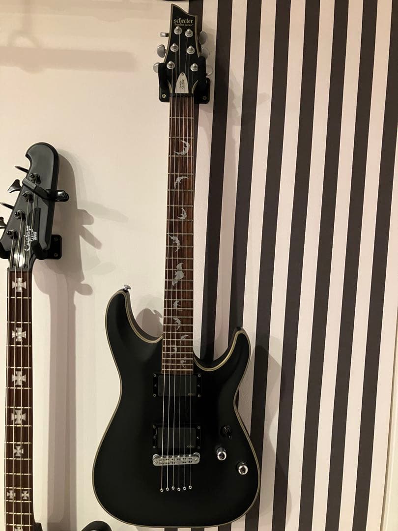 シェクター SCHECTER Damien Platinum-6