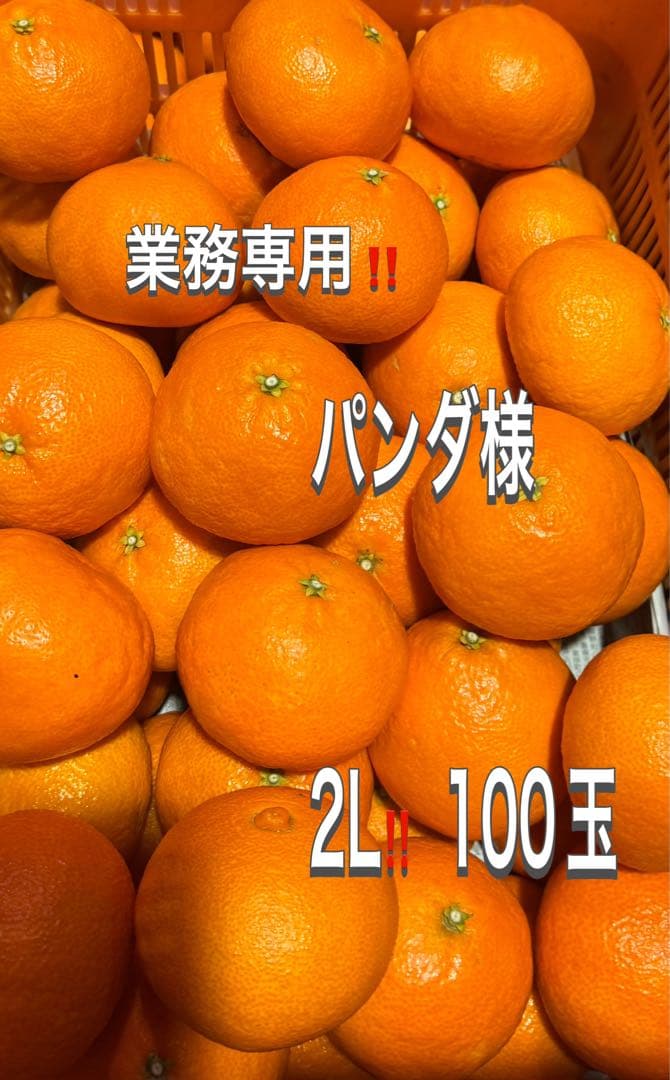 パンダ！業務100玉2