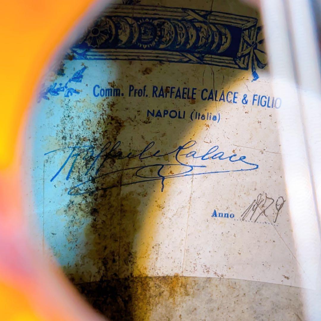 希少！Raffaele Calace カラーチェ　マンドリン　No.16