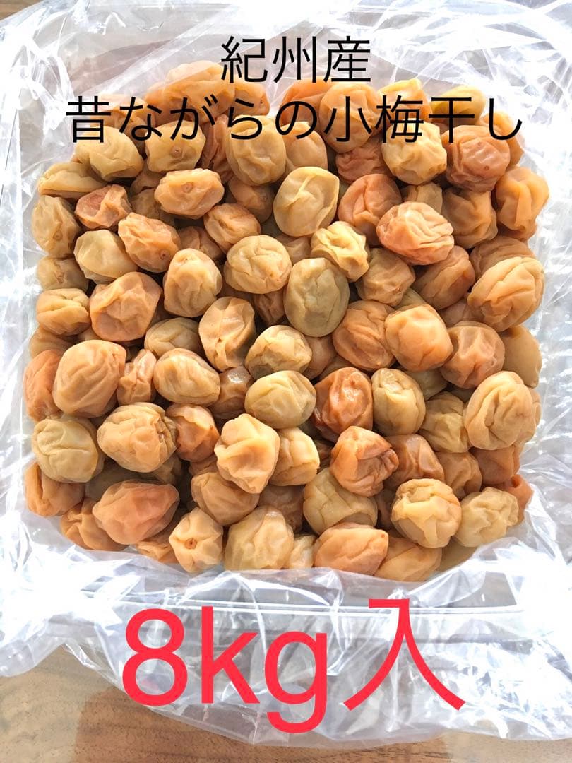小梅干し 訳あり 昔ながらの梅干し 8kg 塩分約20% 無添加 紀州小梅