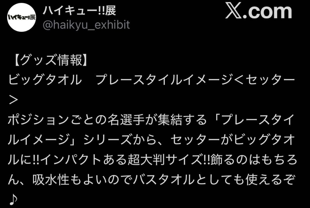 ハイキュー展 ビッグタオル プレースタイル セッター　レア⭐︎