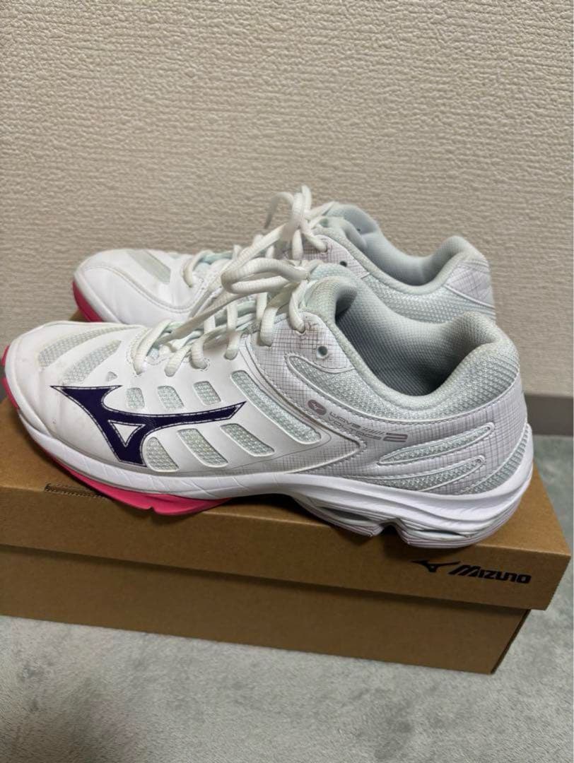 Mizuno バレーボールシューズ 24.5cm