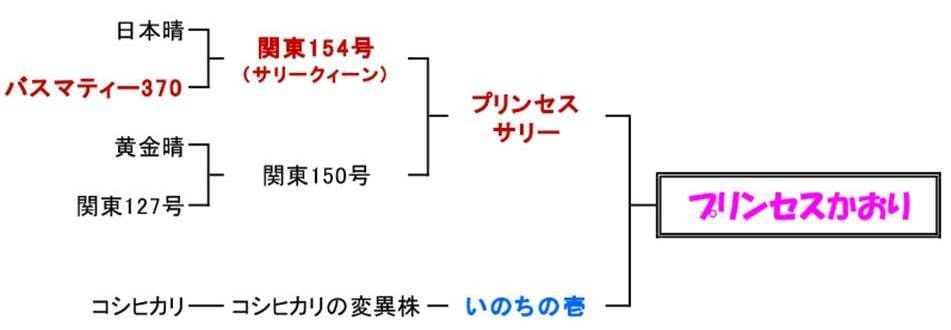 鳥取県産 プリンセスかおり 減農薬 精米10㌔