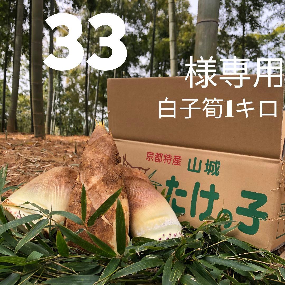 33 白子筍1キロ